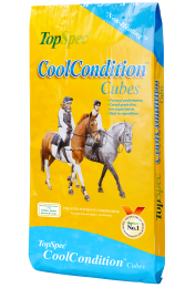 TopSpec CoolCondition Cubes